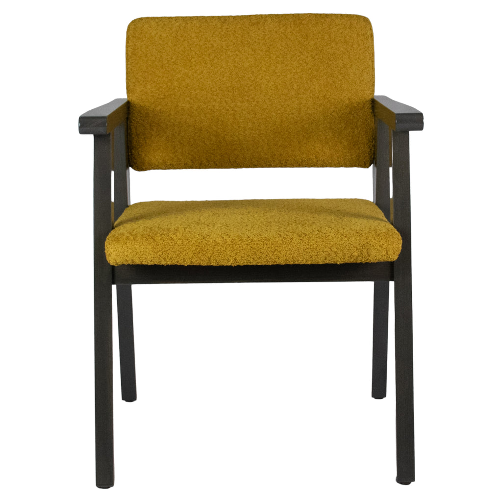 Aria Upholstered Arm Chair – The Chair Market